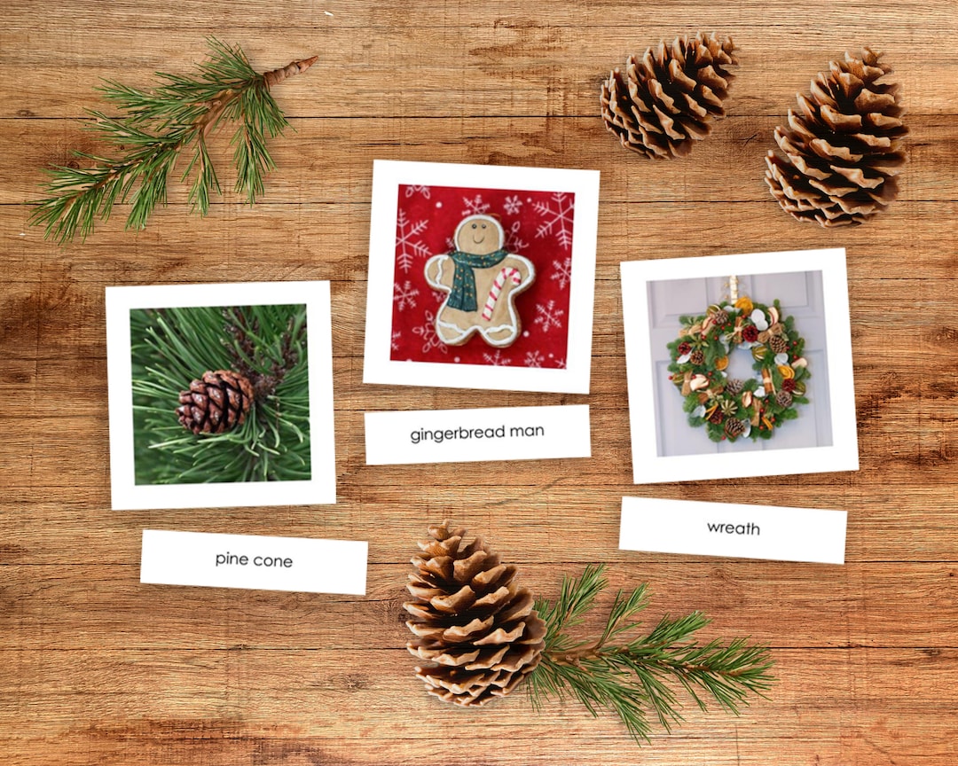 Christmas 3 Part Cards, Montessori Christmas Activity - Etsy