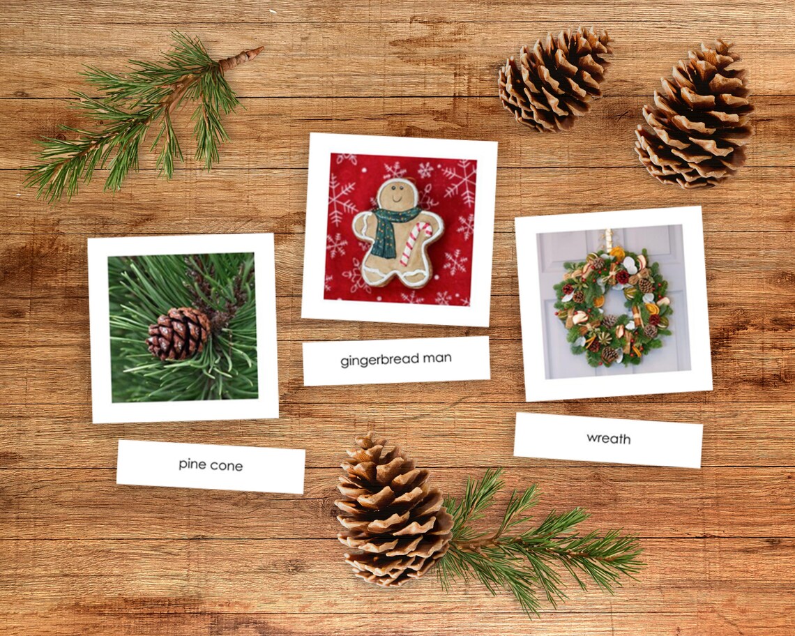 Christmas 3 Part Cards, Montessori Christmas Activity - Etsy