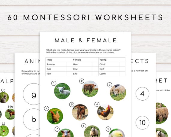 60 Montessori Worksheets Ages 3-6 Preschool Pre-k and | Etsy
