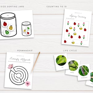 Kindergarten Worksheets Montessori Printable | Spring Bundle - Etsy