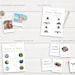 Montessori Printable Kindergarten Worksheets ages 3-6 Summer Bundle - Etsy