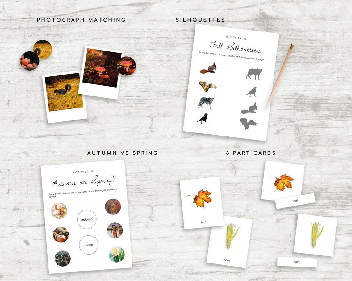 Autumn Montessori Printable Fall Bundle Preschool - Etsy