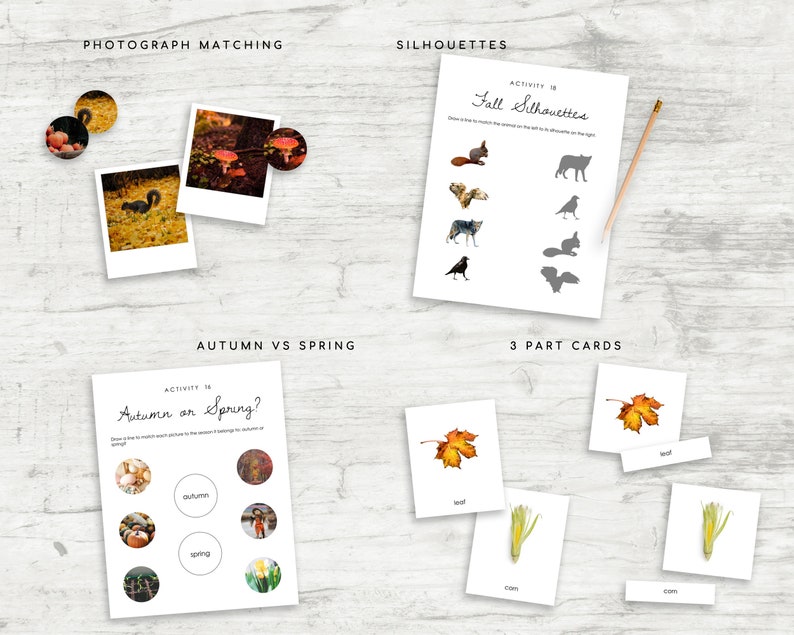 Autumn Montessori Printable Fall Bundle Preschool - Etsy