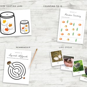 Autumn | Montessori Printable Fall Bundle | Preschool + Kindergarten - Etsy