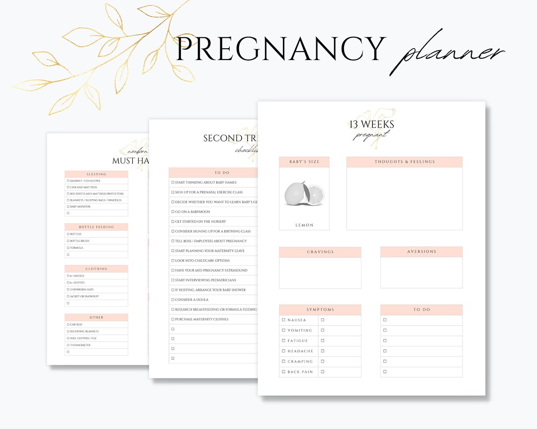 Pregnancy Planner + Journal | Printable | 75 Pages - Etsy