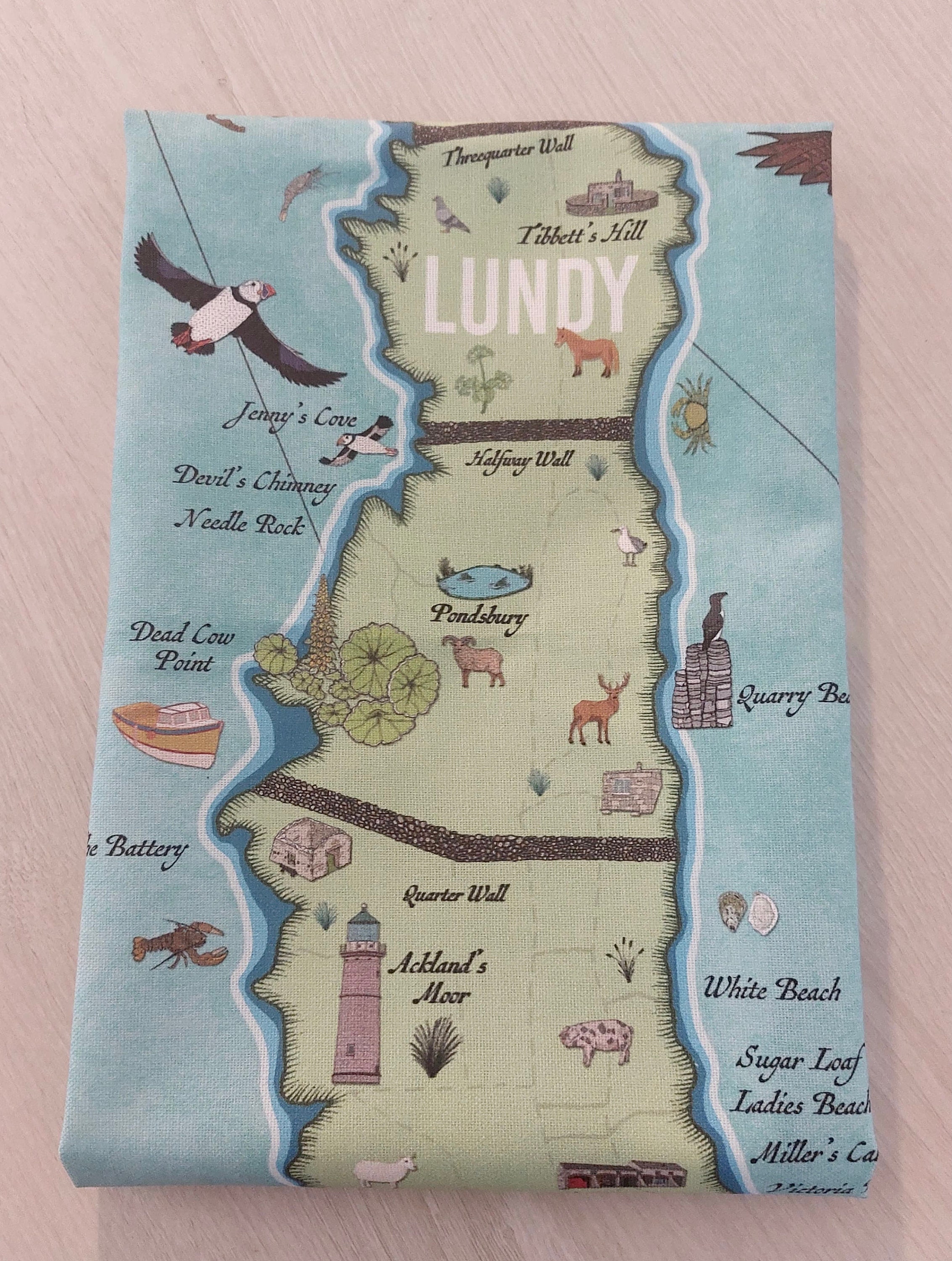 TEA TOWEL With Illustrated Map of Lundy - Etsy