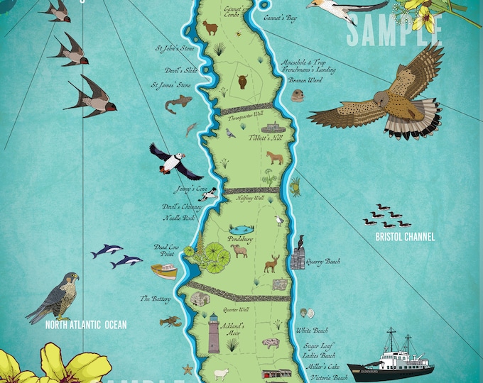 Illustrated Map of Lundy Island - Etsy