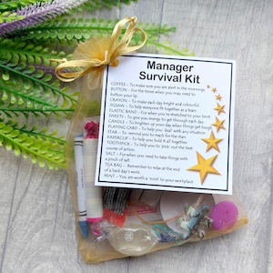 Manager Survival Kit Novelty Gift - Fun New Job Gift, Work Gift, Secret ...
