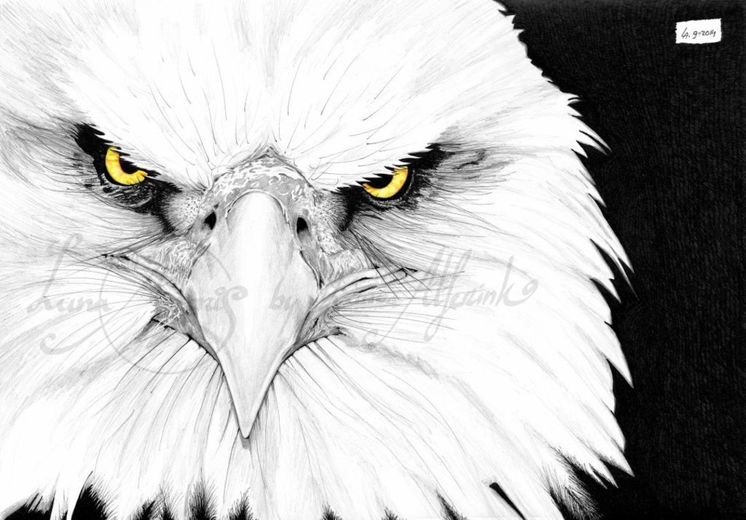 Fine Art A3 Graphite Pencil, Colour Pencil and Fine-liner Drawing "bald ...