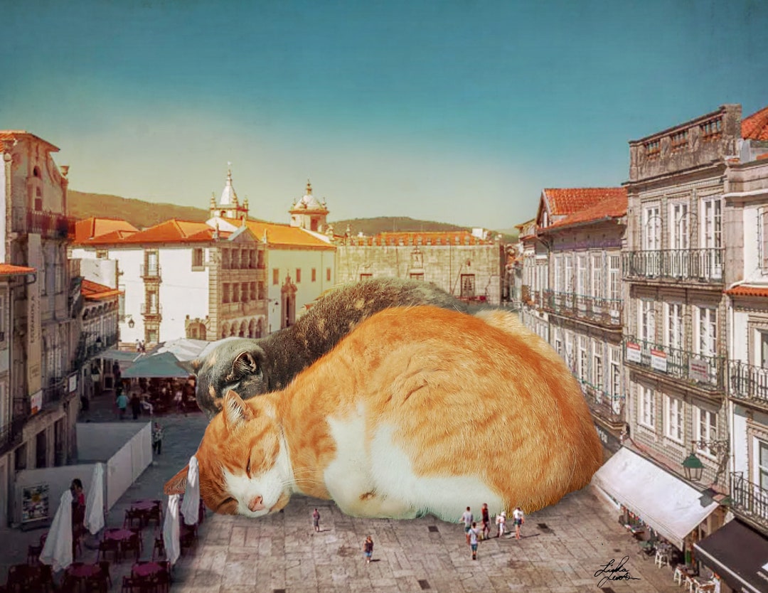 Orange Tabby Giant Cat in Portugal - Etsy