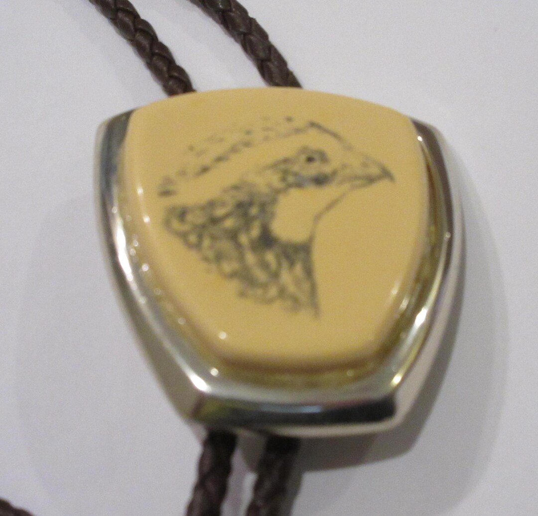 Hawk Bolo Tie, Vintage Eagle Hawk Raptor Silver Tone Bolo Tie IC Lot J ...