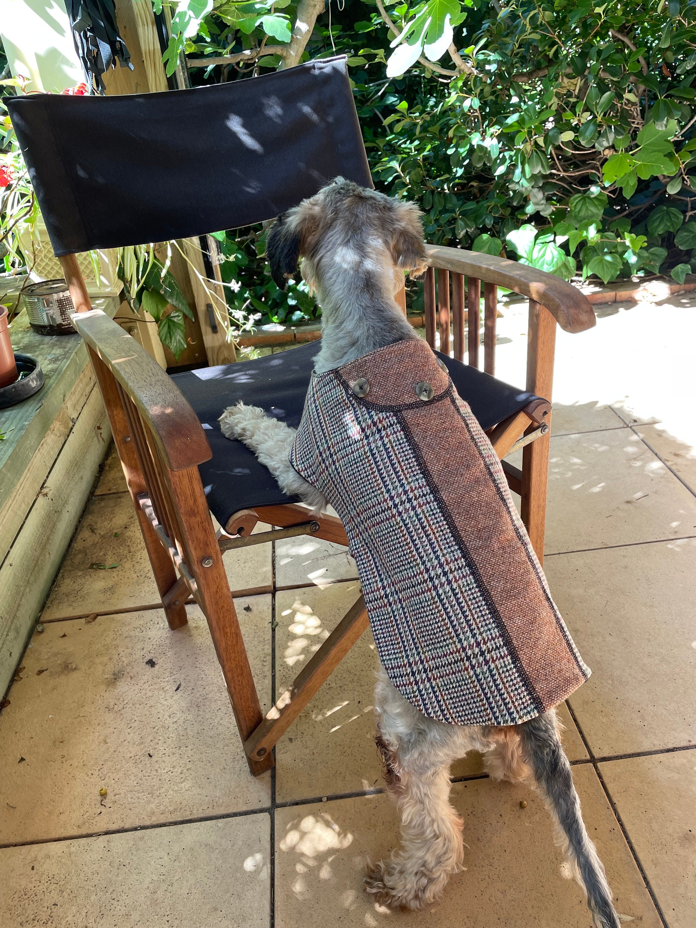Medium Wool Tweed Dog Coat With Tan Wool Trim. - Etsy