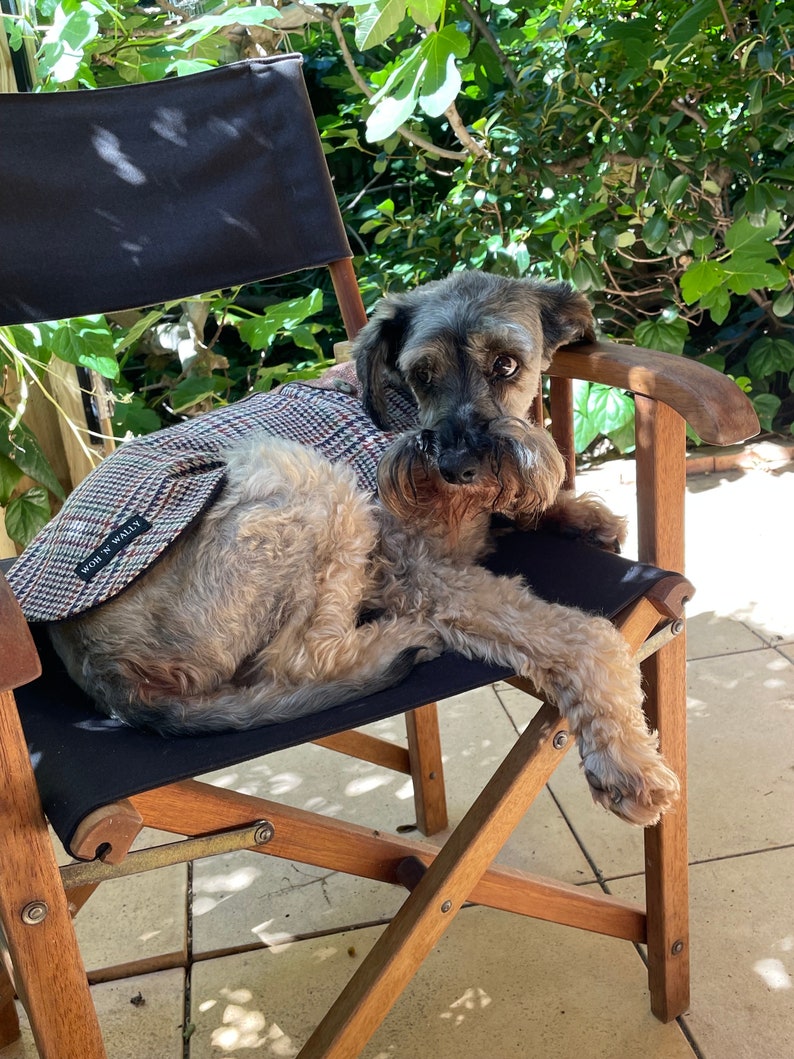 Medium Wool Tweed Dog Coat With Tan Wool Trim. - Etsy