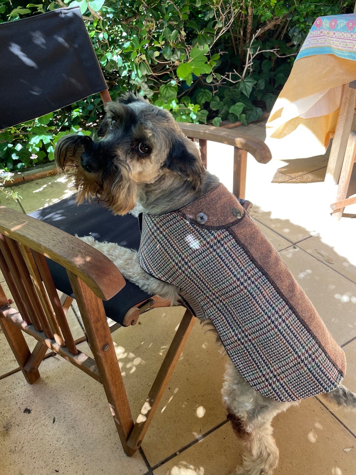 Medium Wool Tweed Dog Coat With Tan Wool Trim. - Etsy