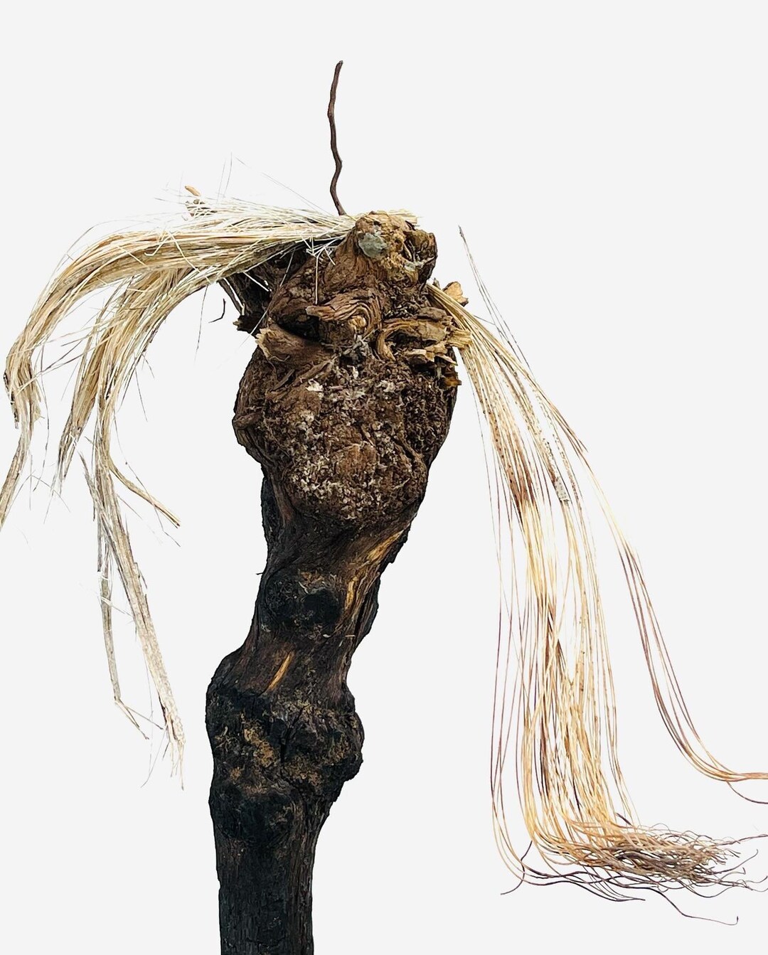 Found Wood Creature Sculpture With Yucca Hair and Gold Wire - Etsy