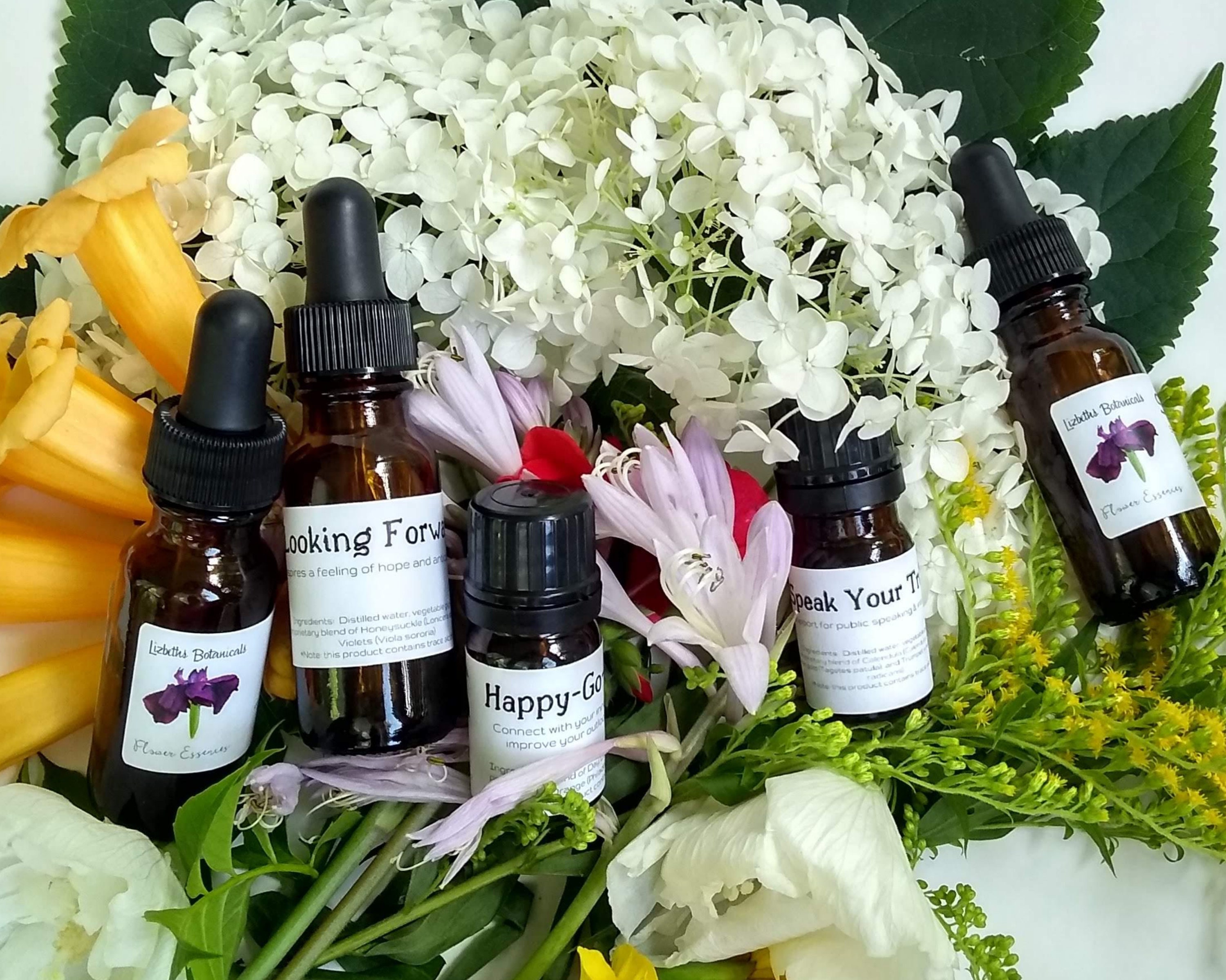 Flower Essence Blends by Lizbeth to Help With Balancing Physical and ...