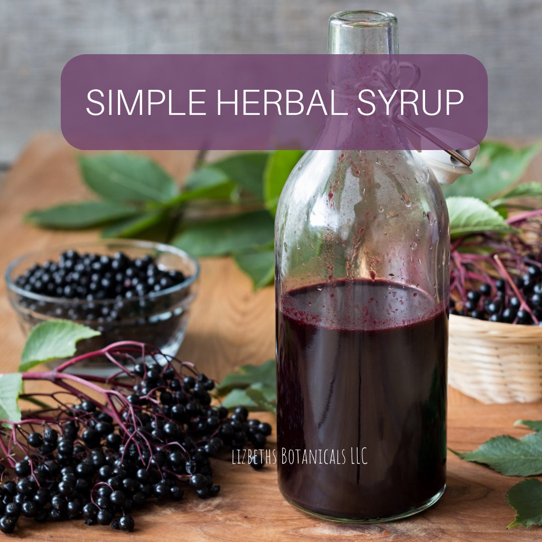 Lizbeth's Simple Herbal Recipes for Making Salve, Elderberry Syrup ...