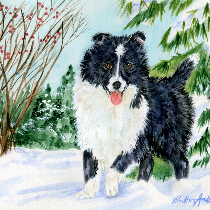 Black Sheltie - Etsy