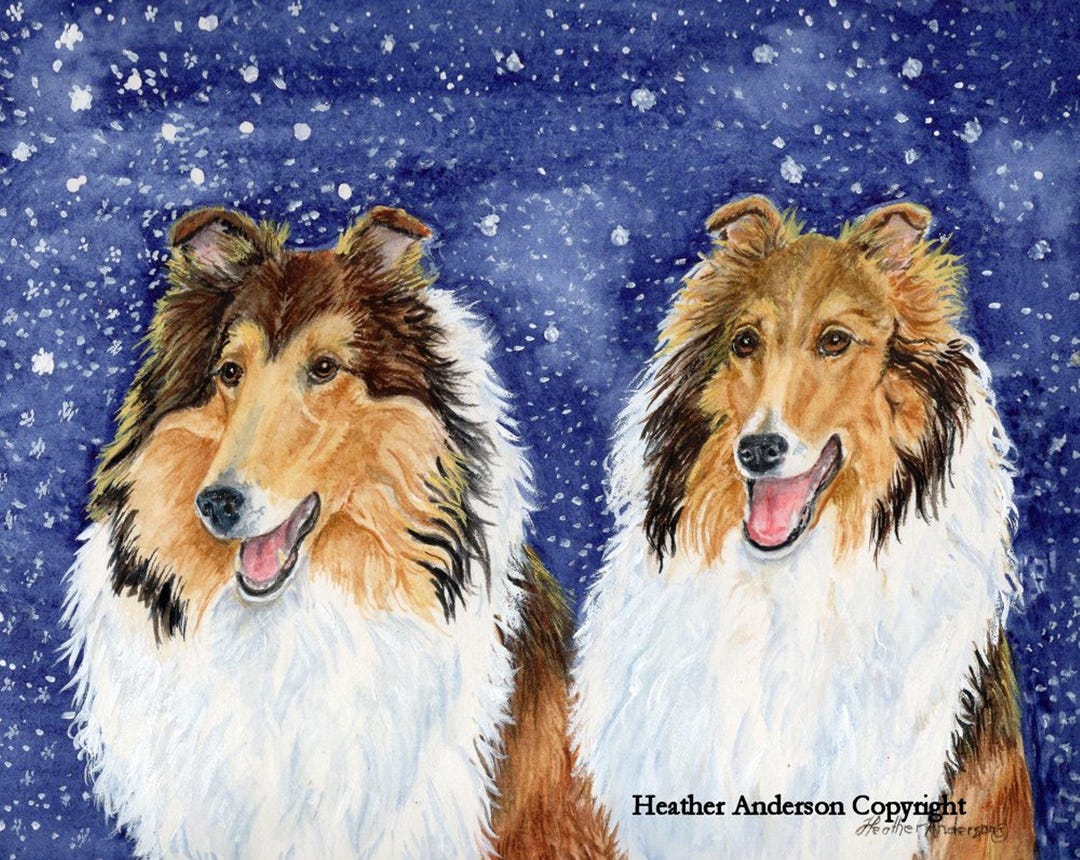 Two Collies Giclee Print, Sable Rough Collies, "listen, Sleigh Bells ...