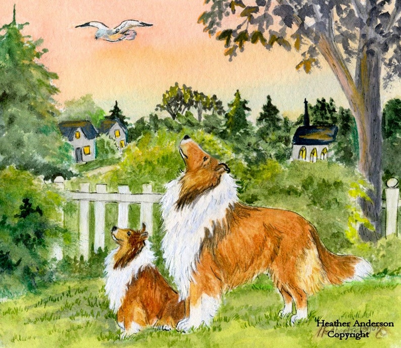 4 Magical Moments Series Cards, Sheltie With Collie in the Gloaming ...