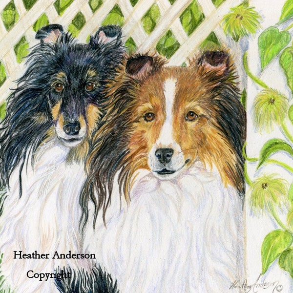 Sheltie Art - Etsy