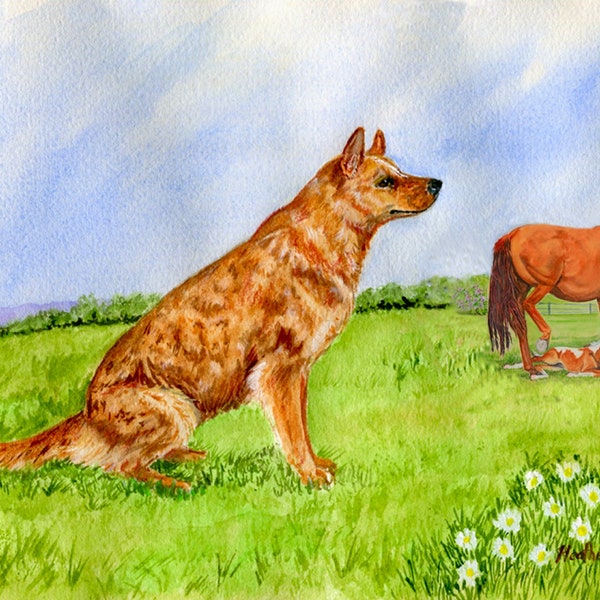 Red Heeler - Etsy