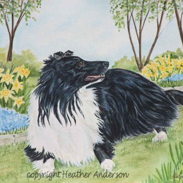 Sheltie Art - Etsy