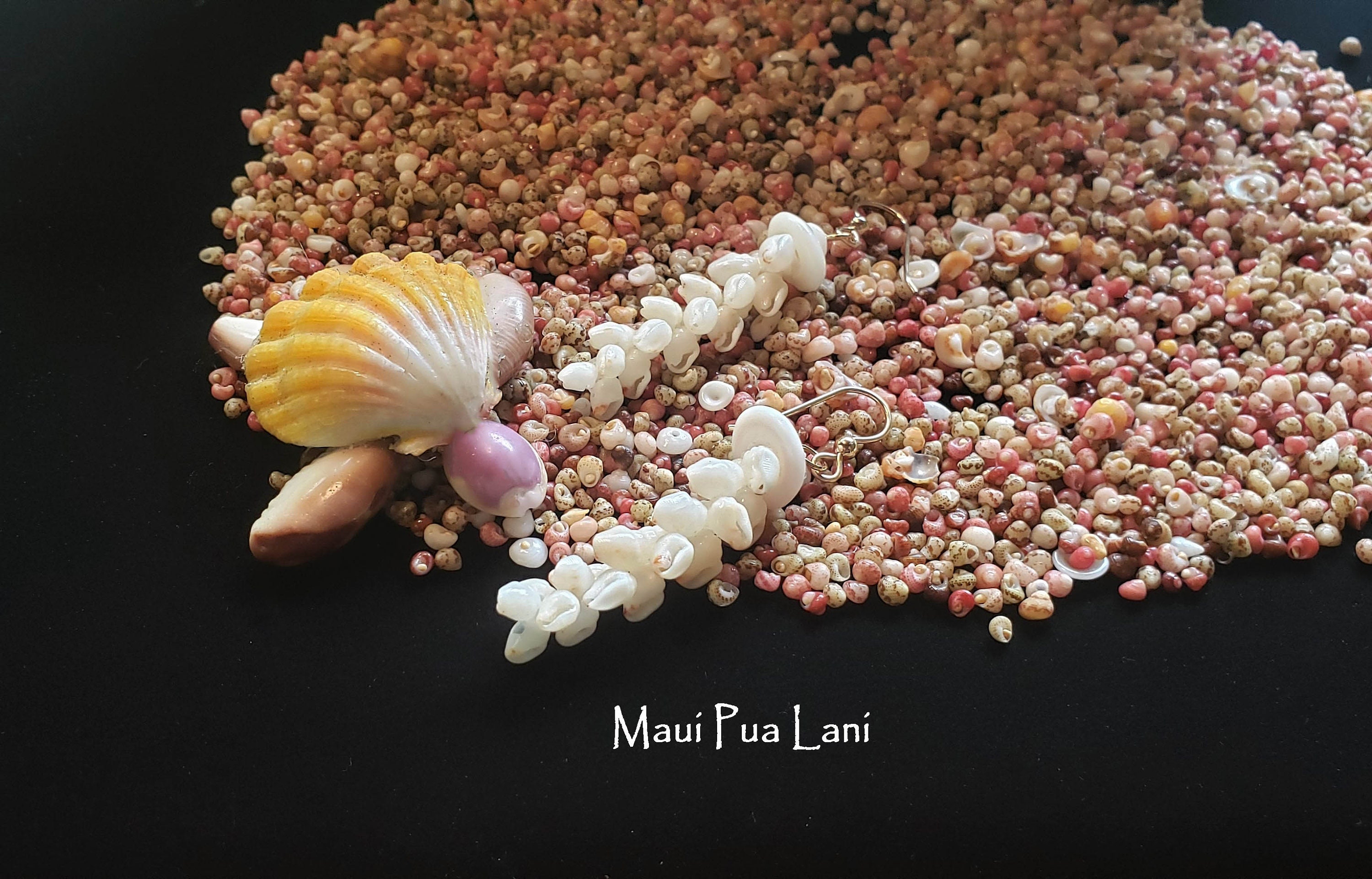 Beautiful Ni'ihau Momi Shells Woven in a Traditional Pikake Style. Long ...