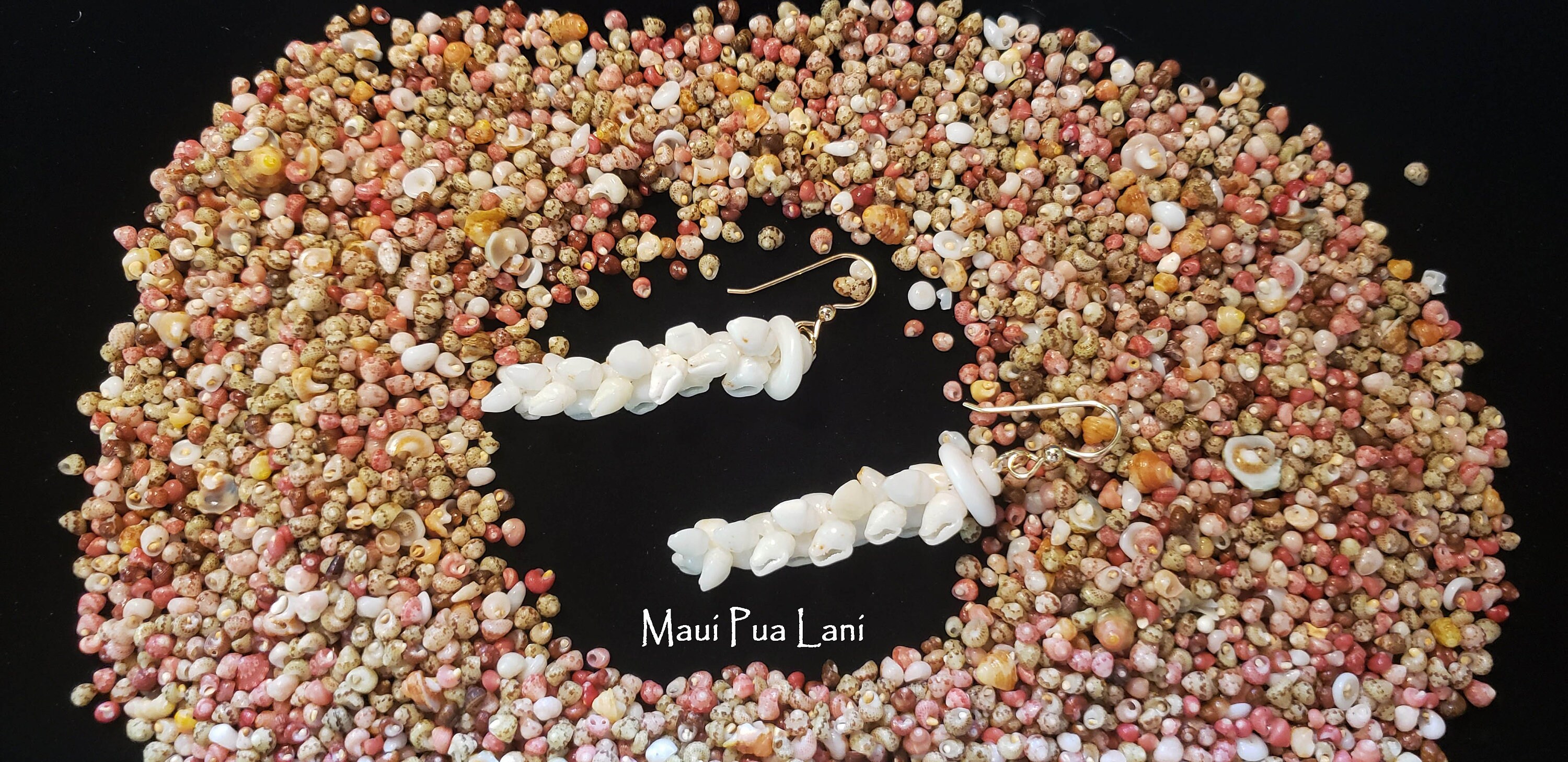 Beautiful Ni'ihau Momi Shells Woven in a Traditional Pikake Style. Long ...