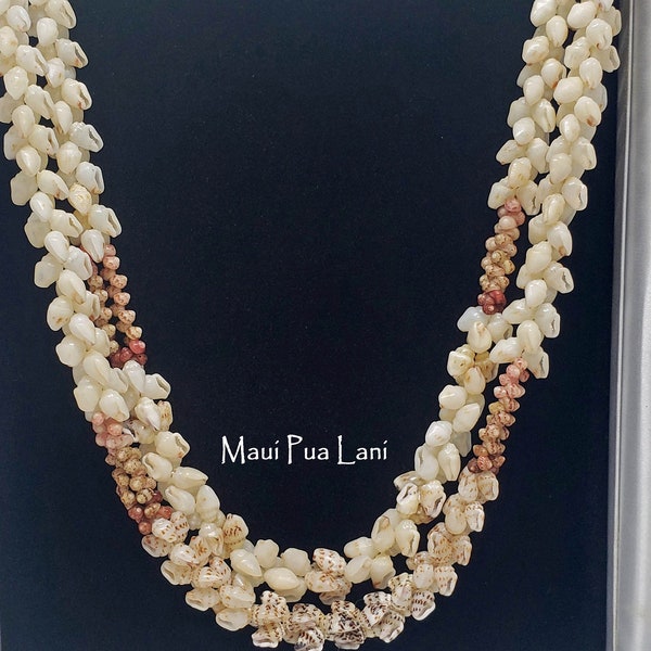 Niihau Shell Necklace - Etsy