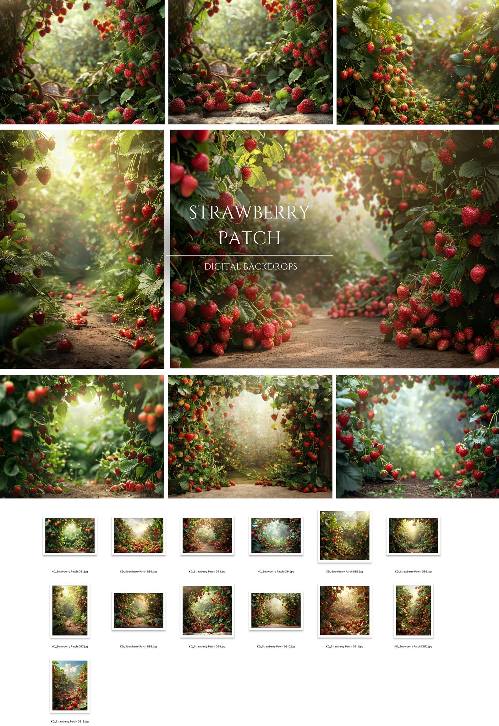 Strawberry Patch Digital Backdrops for Composite Photography, Spring ...