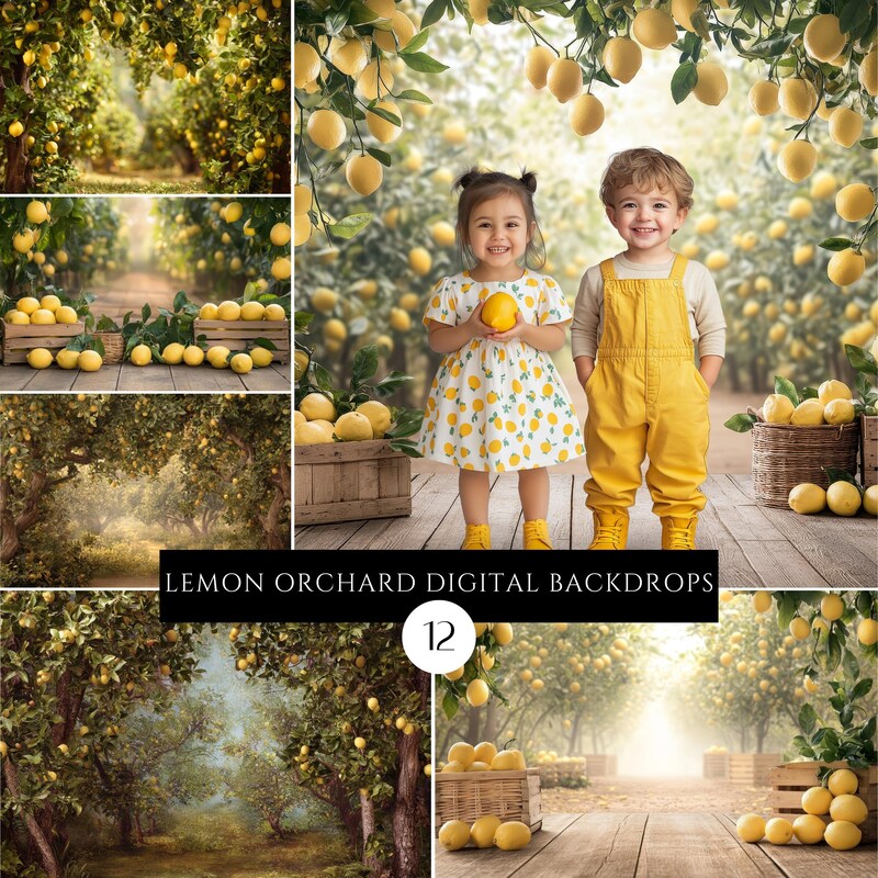 Lemon Backdrop - Etsy