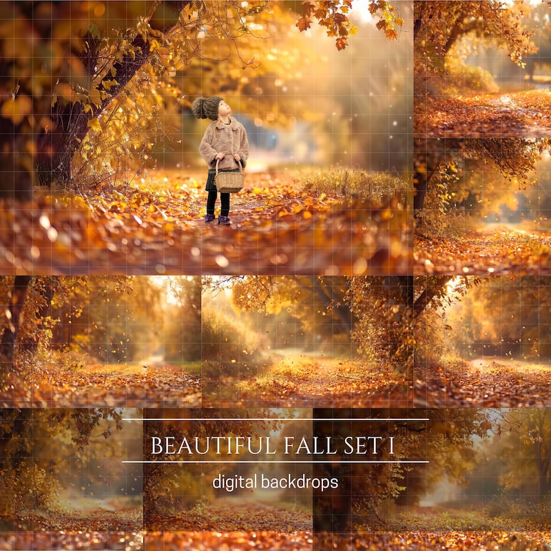 Digital Backdrop - Etsy