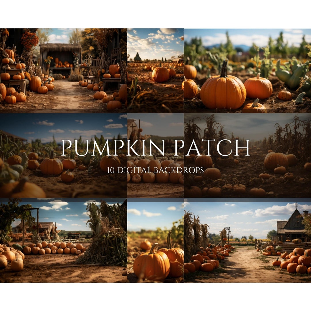 Pumpkin Patch Digital Backdrops, Pumpkins Backdrops, Composite Digital ...