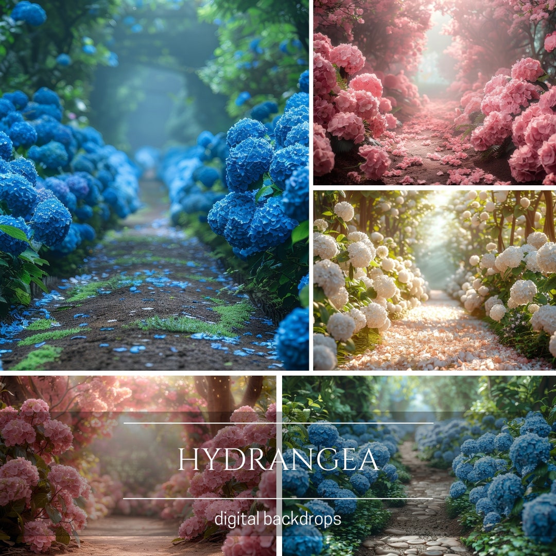 Hydrangea Path Summer Digital Backdrops, Maternity Backdrop Overlays ...