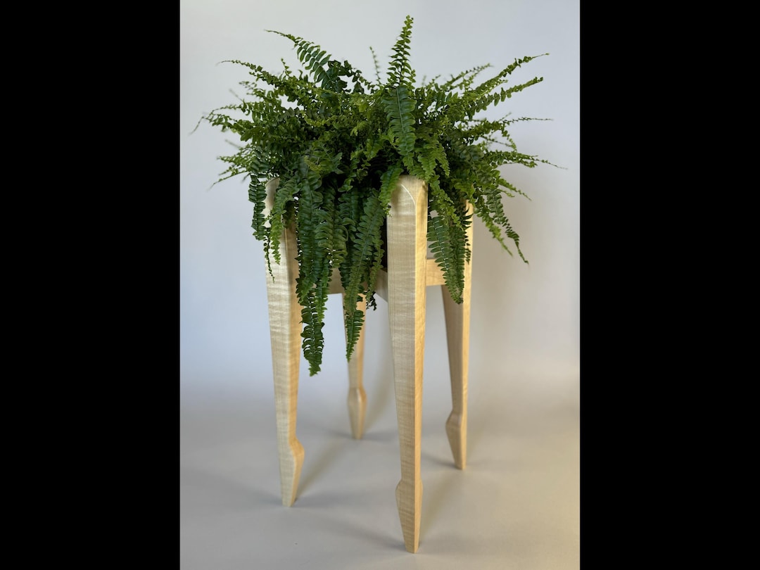 Hand Crafted Curly Maple Plant Stand, Indoor Plant Display - Etsy