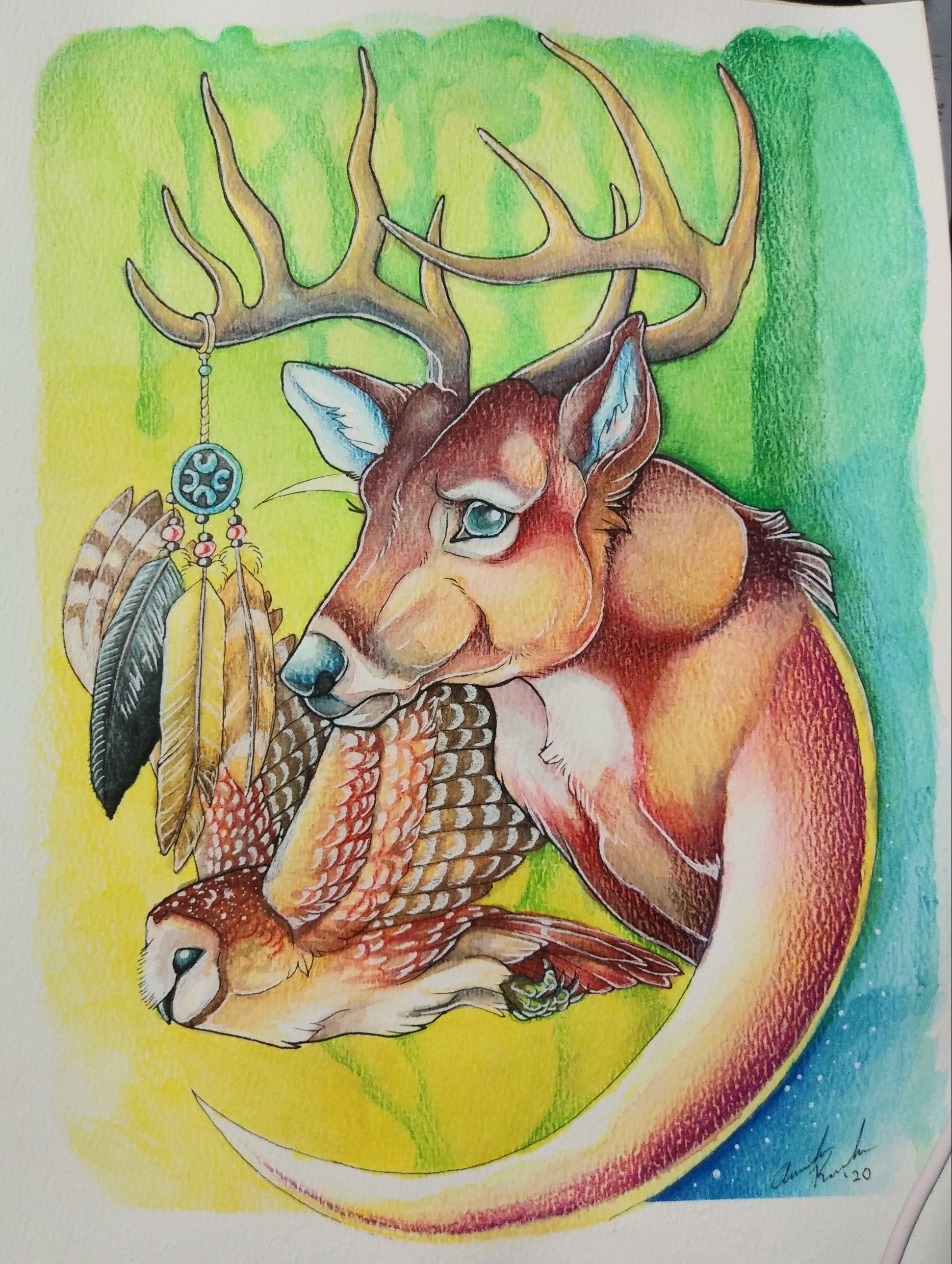 Drawings Of Deer In Color