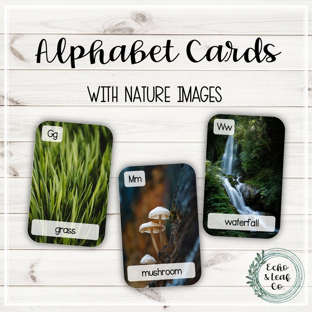Alphabet Cards With Nature Images (digital Download) - Etsy