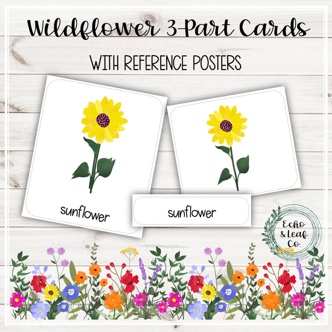 Wildflower Montessori 3-part Cards - Etsy