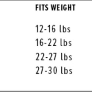 Queen Bee Shirt, Bee Day Shirt, Bee Day Party, Honey Bee, Honey Shirt ...