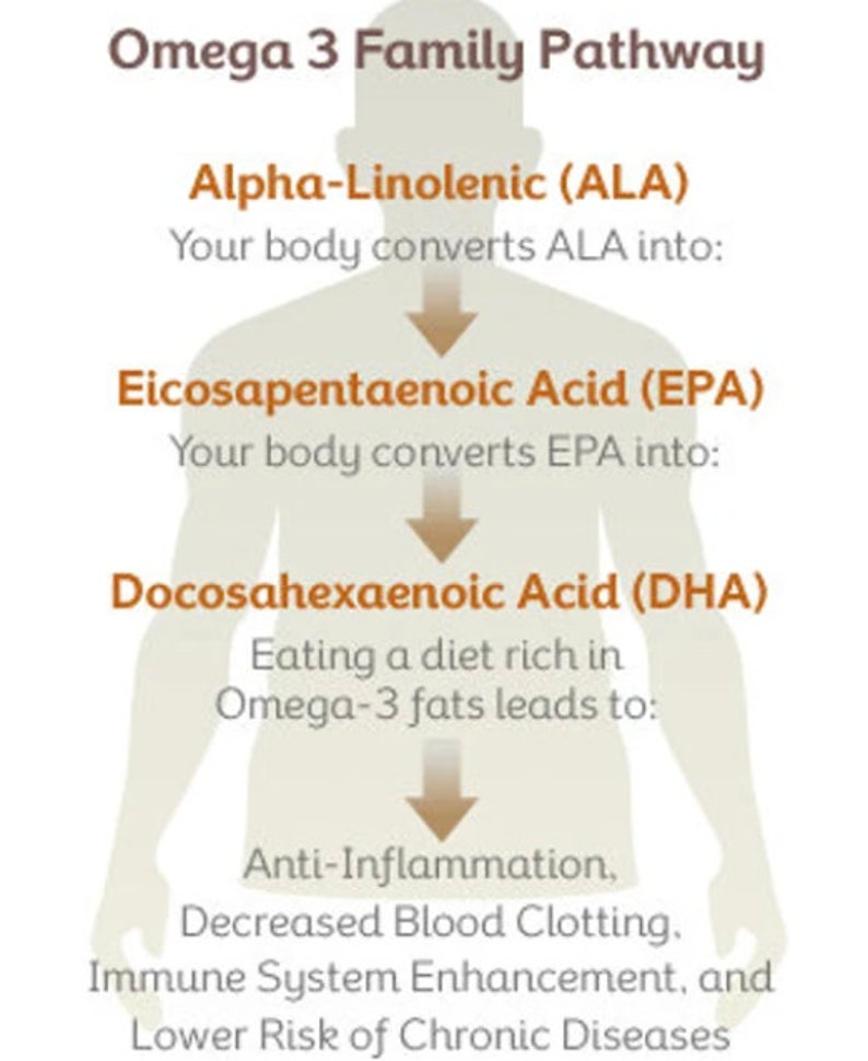 Marine Phytoplankton Powder Nannochloropsis Gaditana EPA Omega 3 Dha ...