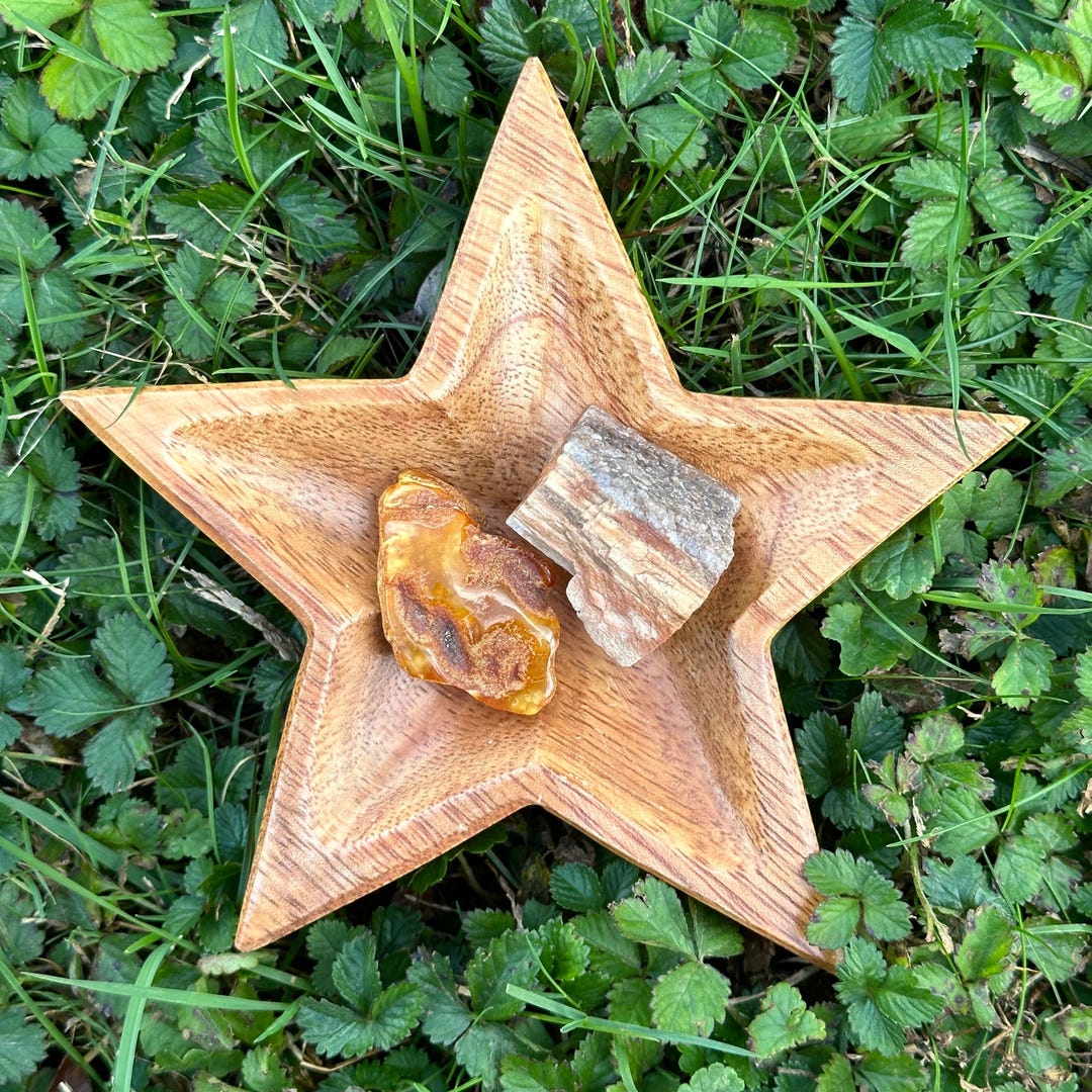 Lithuanian Natural Amber & Petrified Wood Set - Etsy