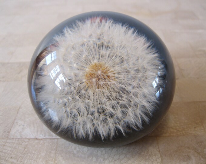 Dandelion Specimen Encased in Lucite Paperweight 70's Boho Hippie ...