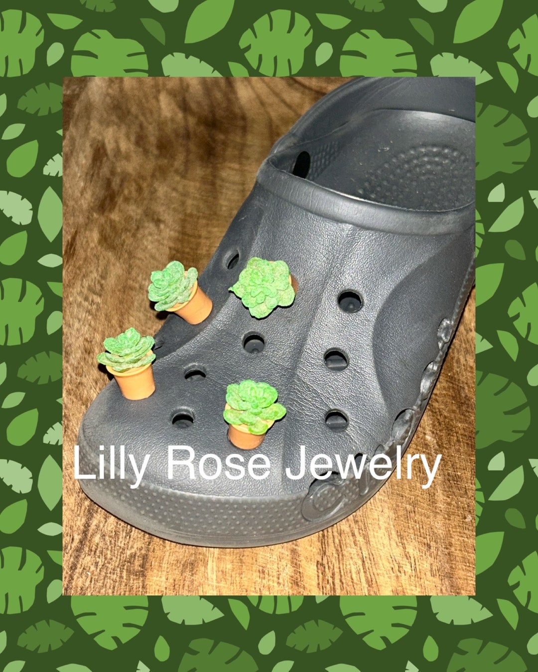 ONE Succulent Plant Shoe Charms Plant Croc Charms Rubber Clog Charms ...