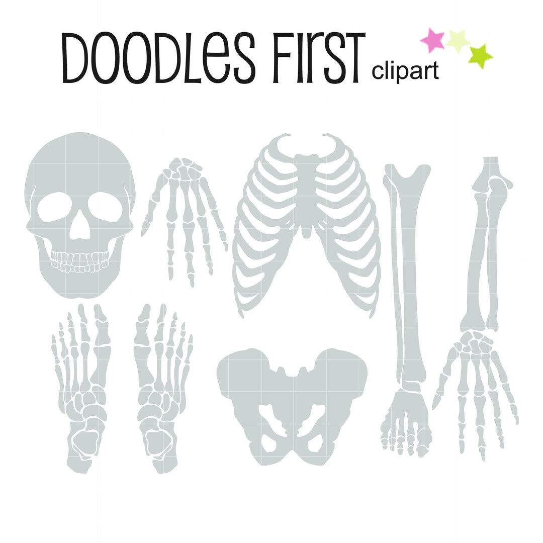 Human Skeleton Collection Digital Clip Art for Scrapbooking Card Making ...