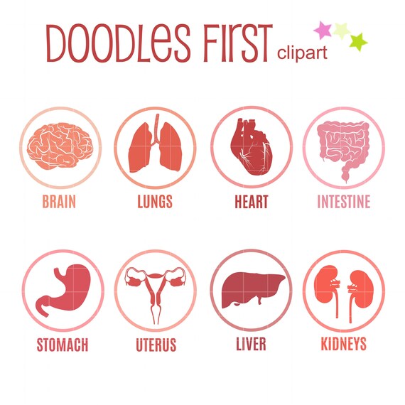 Human Anatomy Organs Icon Clip Art for Scrapbooking Card - Etsy