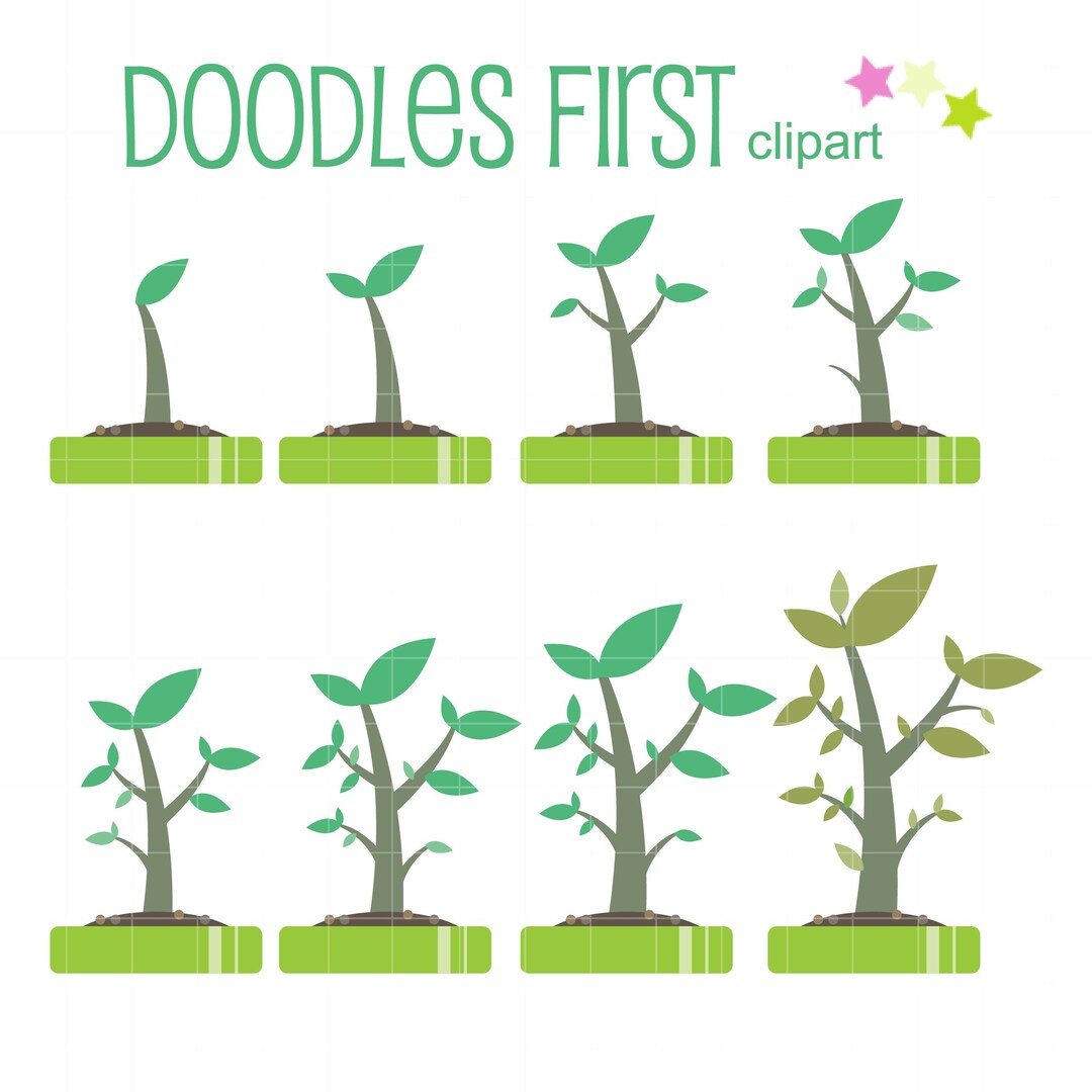 Plants Growth Cycle Digital Clip Art for Scrapbooking Card Making ...