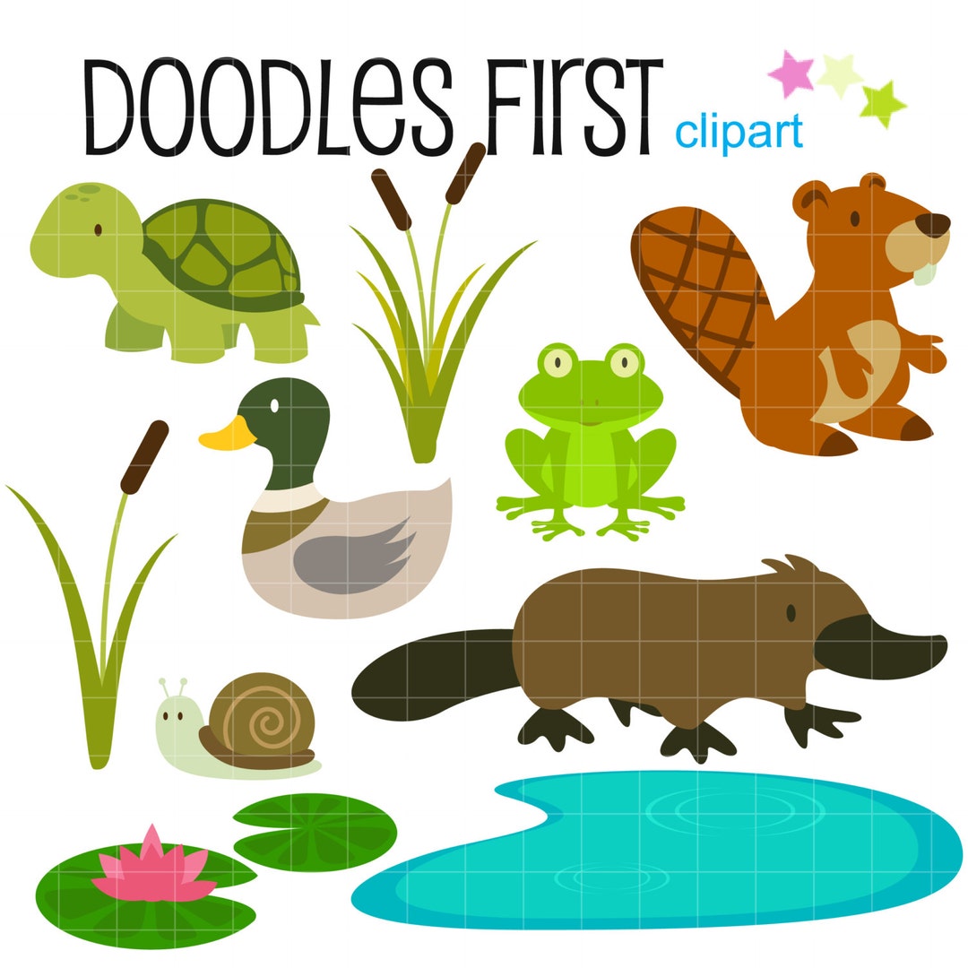 Pond Life Clipart: Swamp Animals, Plants Graphics (SVG, PNG, JPG) - Etsy