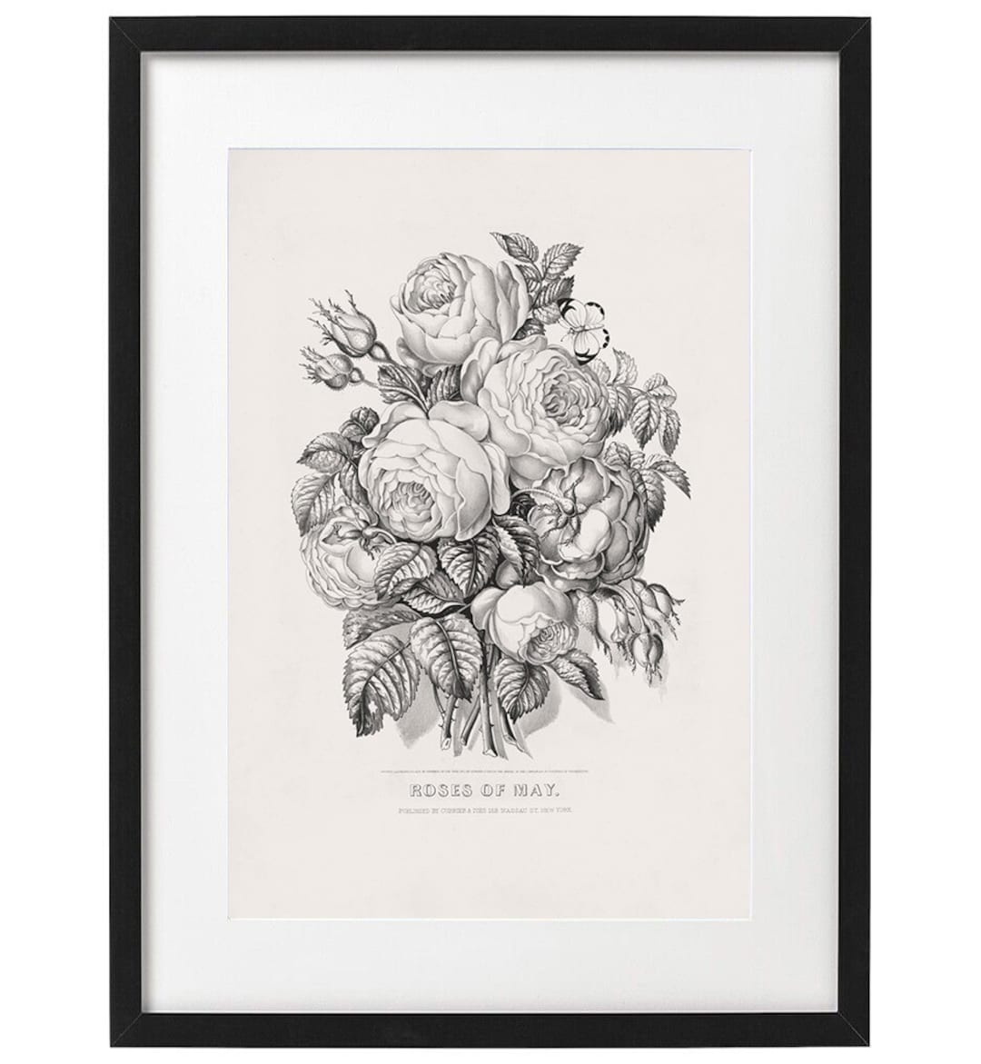 Roses of May Currier & Ives 1870 Poster Art Print Vintage - Etsy