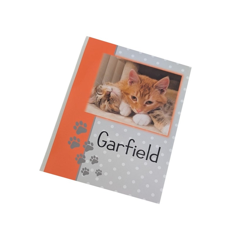 Kitten Photography - Etsy